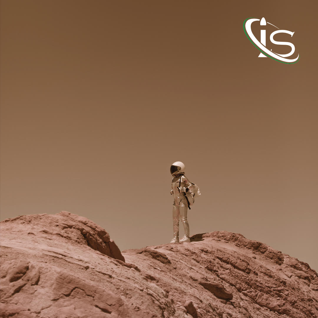 SpaceX's Starship Project - Technical Capsule - impulso.space